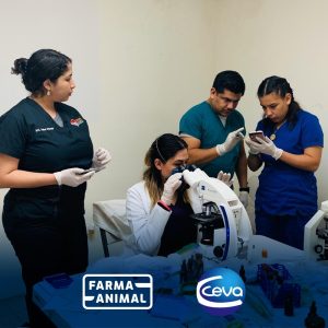 Farma Animal